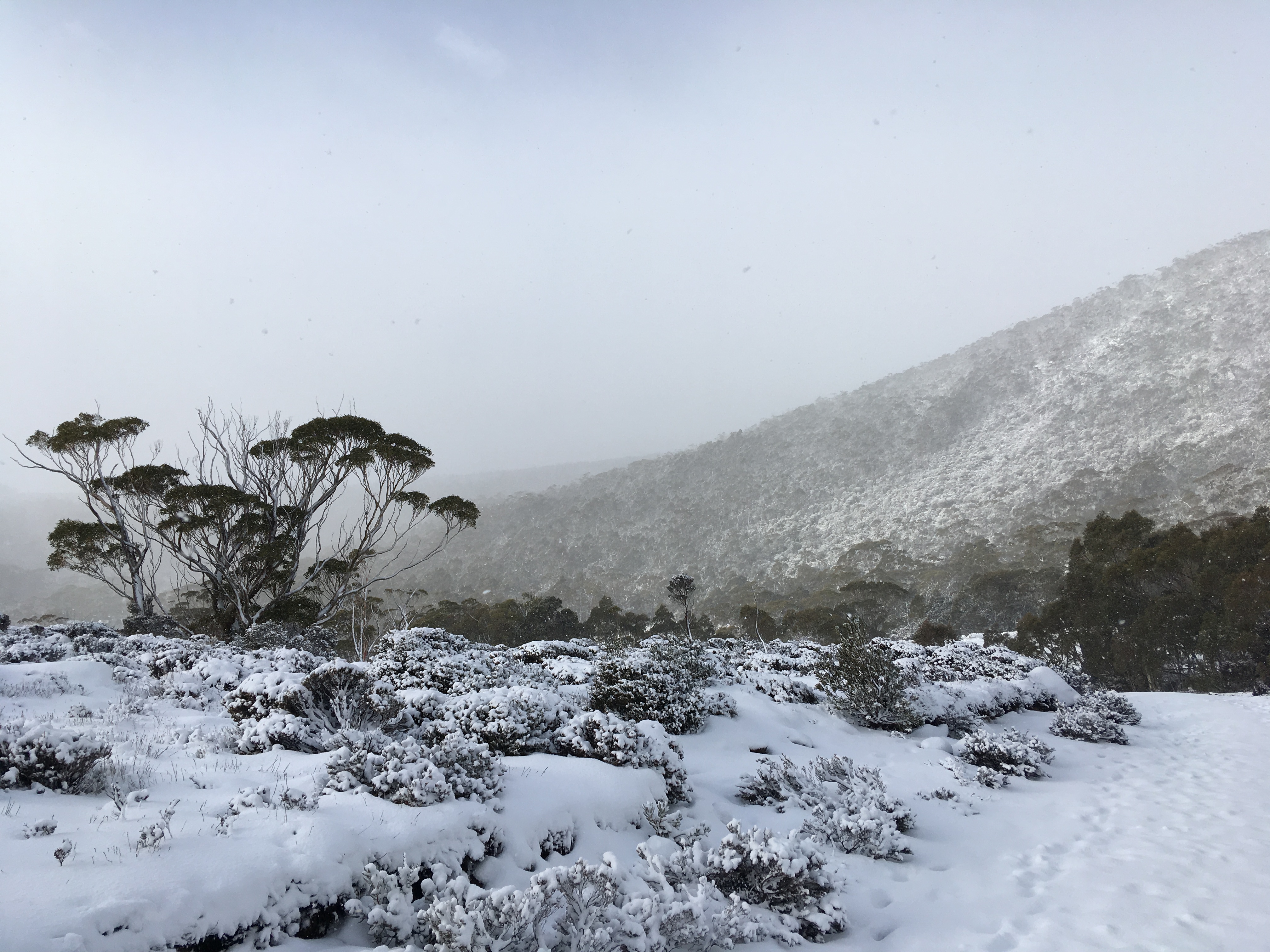 More snow on the way – but a bit late for this weekend – Mount Mawson