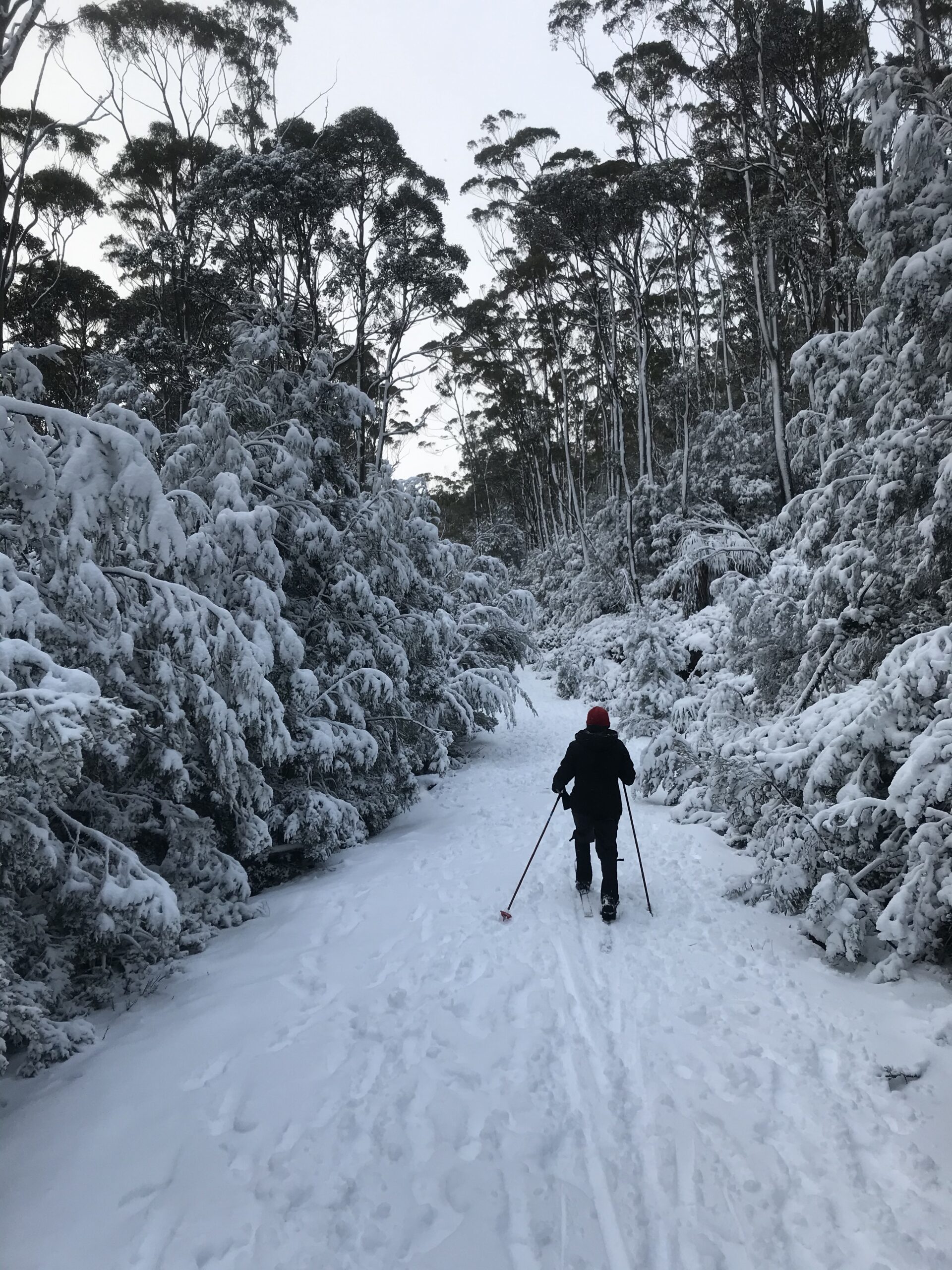First Snow of the Season – Mount Mawson