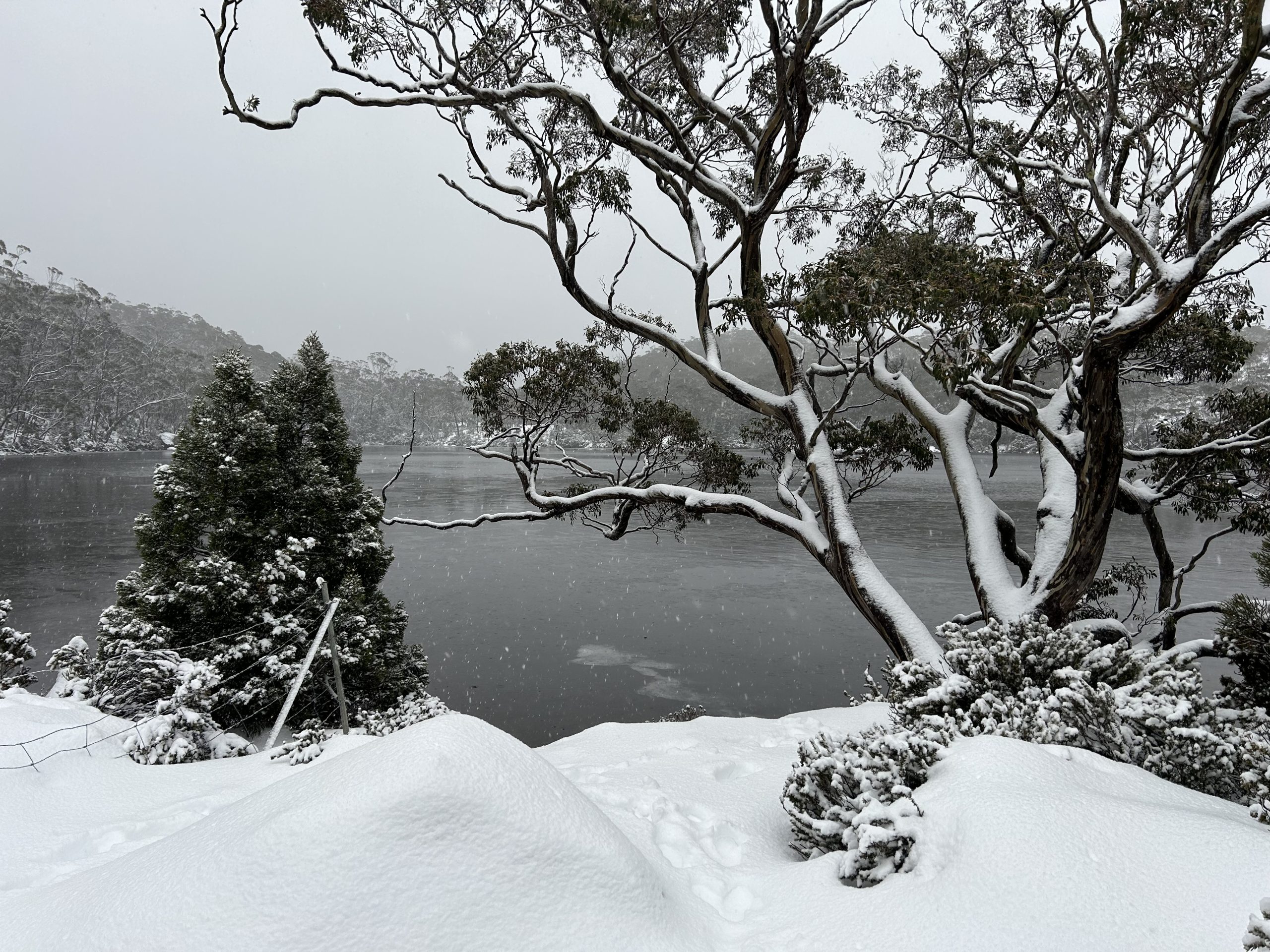Skiing Sunday? Mt Mawson ready to go if weather cooperates. – Mount Mawson